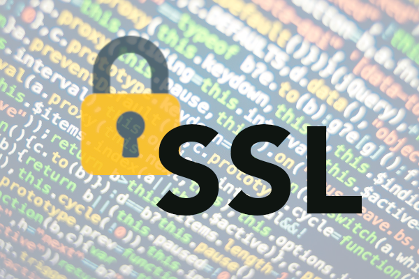 SSL Monitoring Solutions | Webolytica