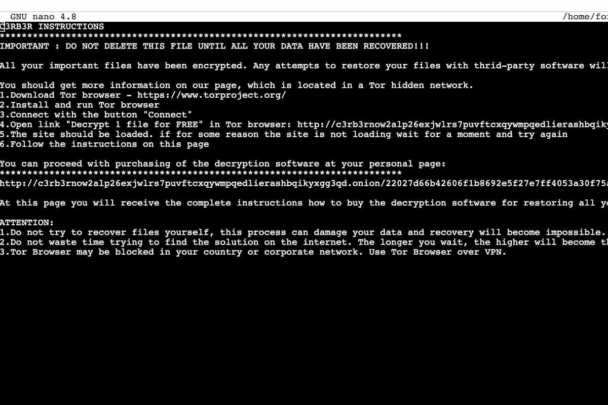 Common DNS Issues and How to Resolve Them | Webolytica